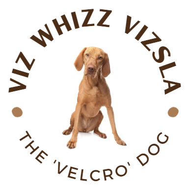 Viz Whizz Visla